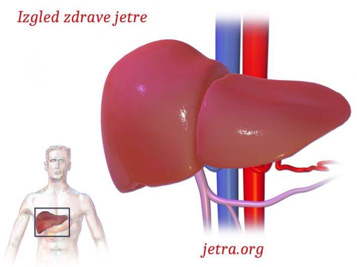 Ciroza jetre - Šta je ciroza. Kako se liječi prirodnim putem